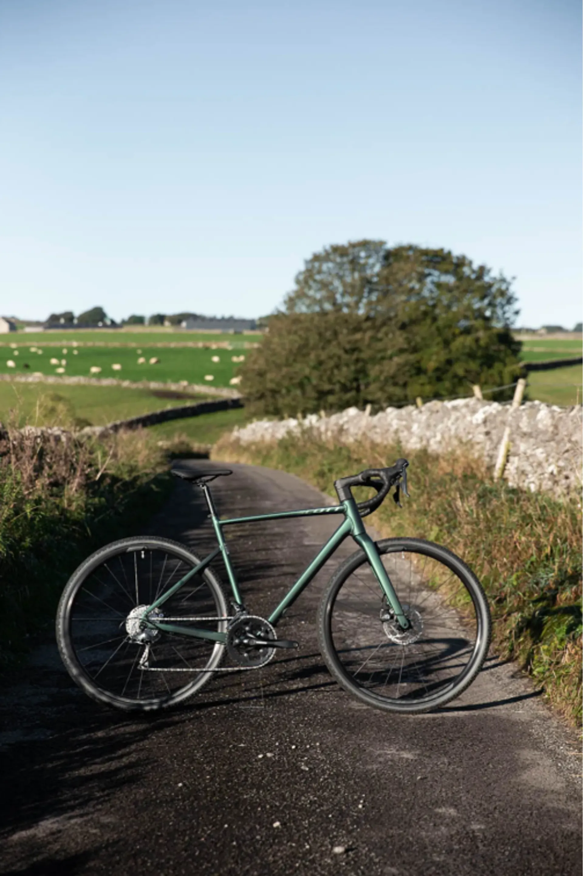 Scott Speedster 50 Gravel Bike in Green